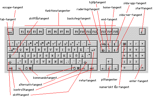 Svenska för nyanlända: Tangentbord