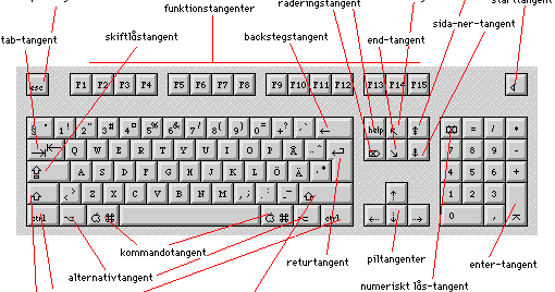 Svenska för nyanlända: Tangentbord