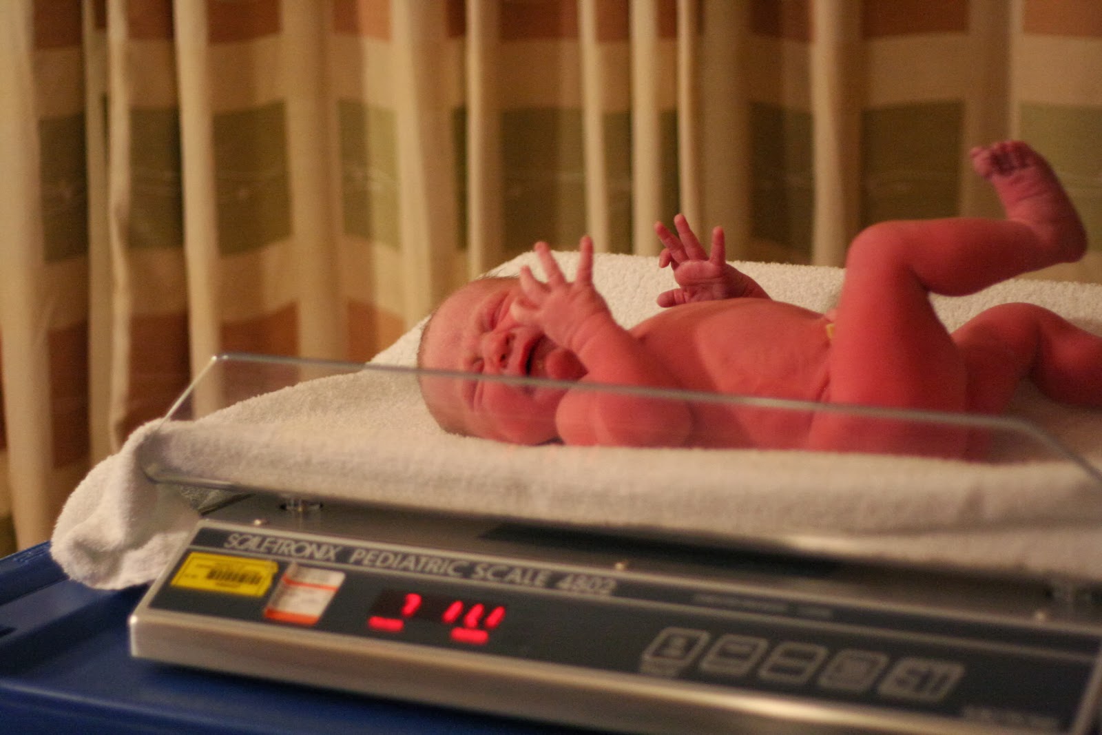 (she always loved) larking.: fly, little bird. // phoebe ruth