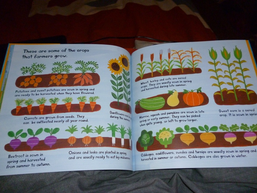 Madhouse Family Reviews: Picture book review : Driving My Tractor - Jan ...