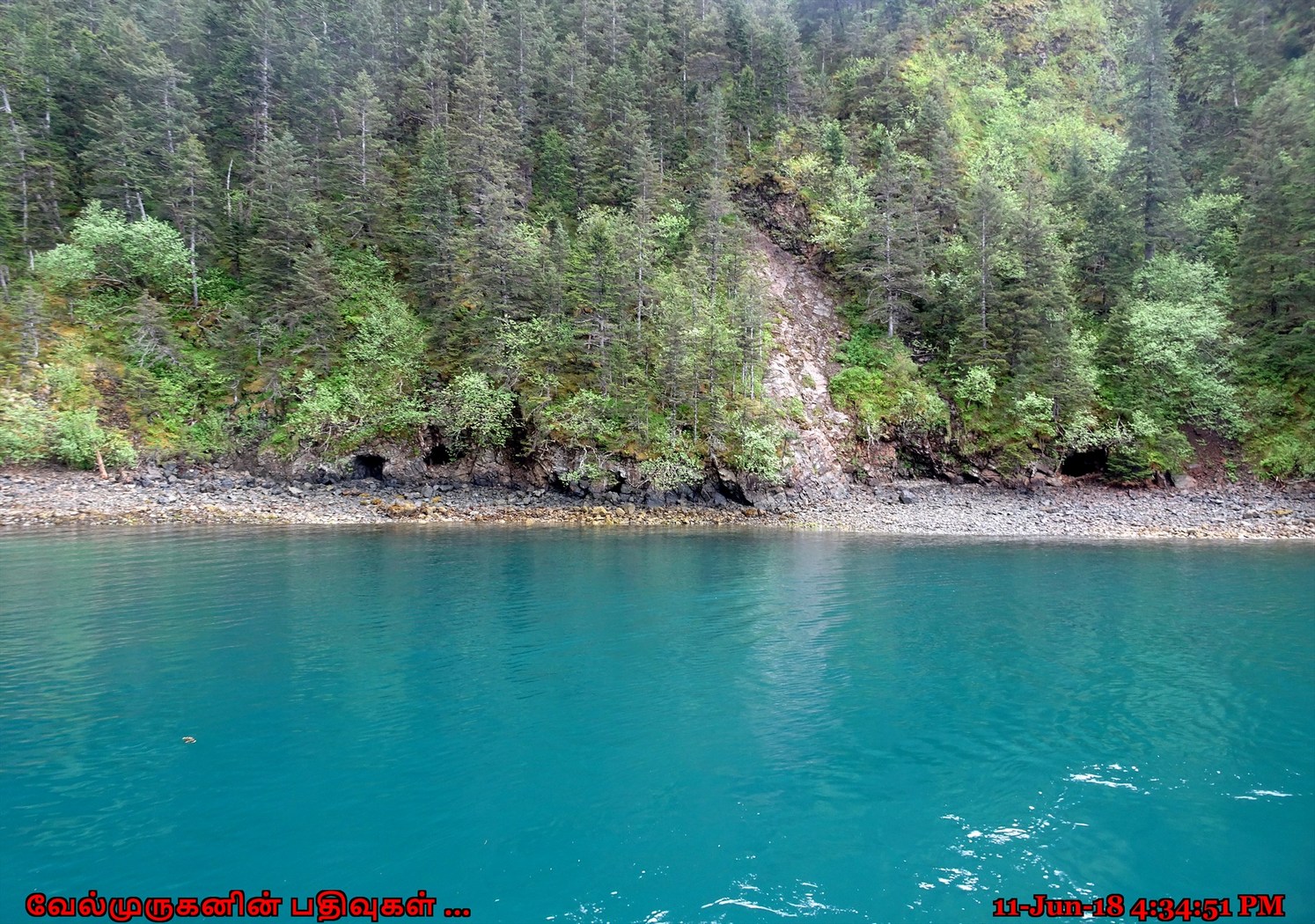 Resurrection Bay Alaska - Exploring My Life
