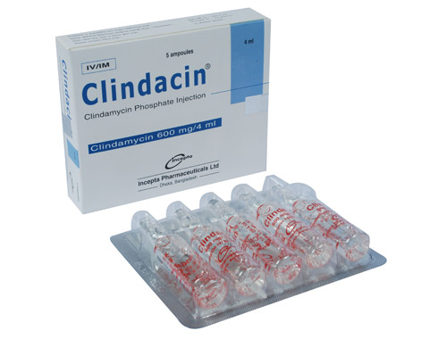 Climycin (Clindamycin) এন্টি ব্যাকটেরিয়াল, - Medicine Indications