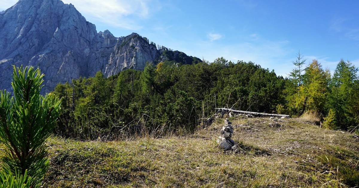 Jelenkamen - Majdag: Divjina na robu Martuljkove skupine - Kurji vrh...