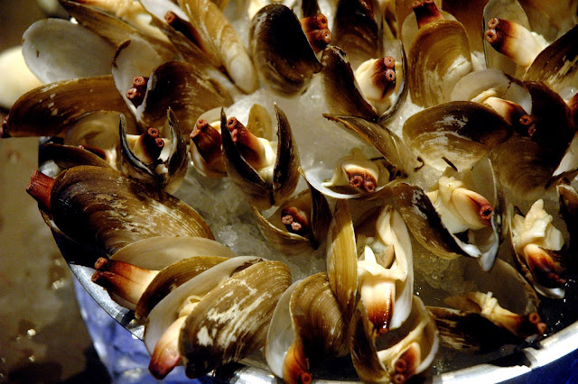 DUDE FOR FOOD: A Diversity of Flavors at Marco Polo Ortigas Manila's Cucina