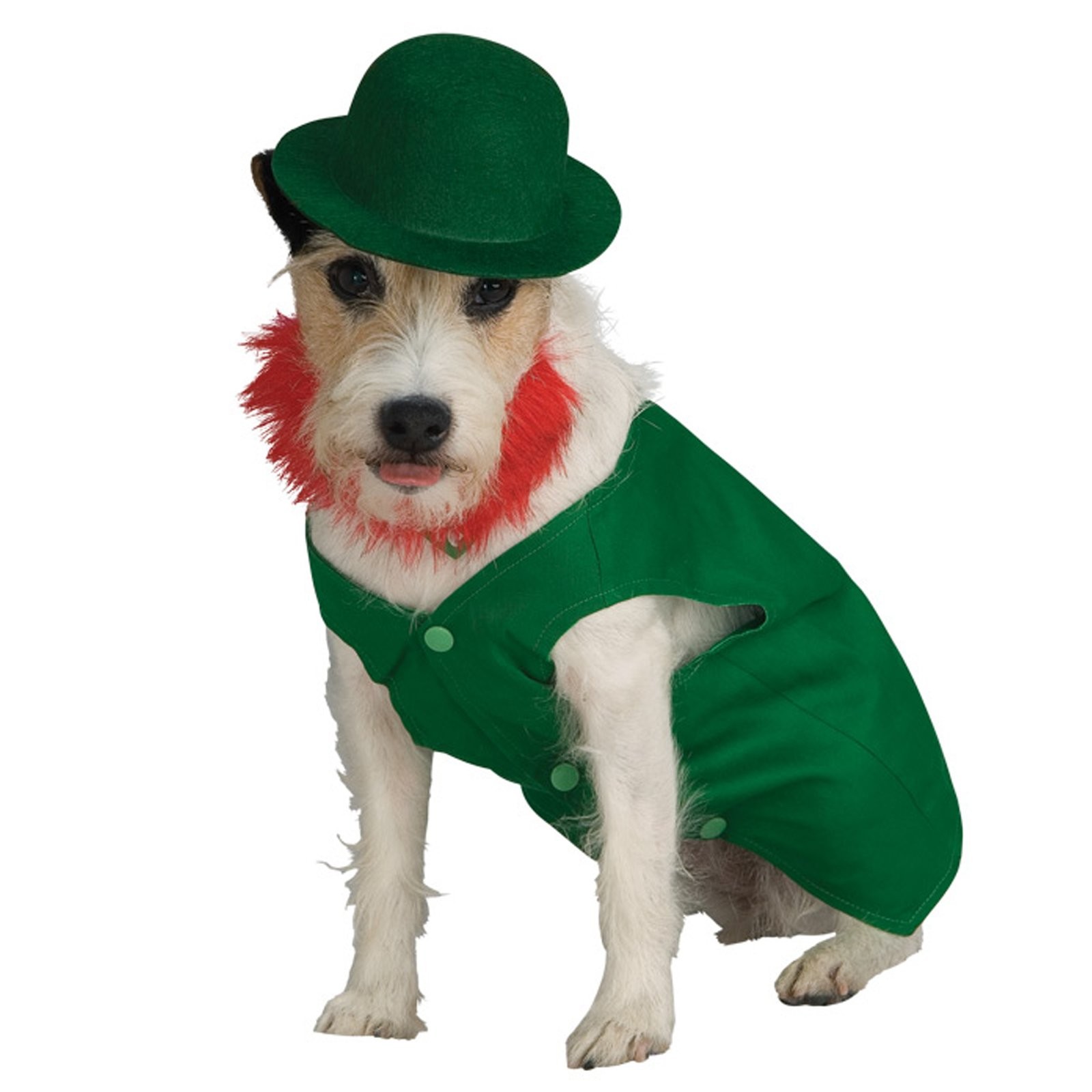 National Dress Up Your Pet Day: Gorgeous Style Of Doggie Dress Up