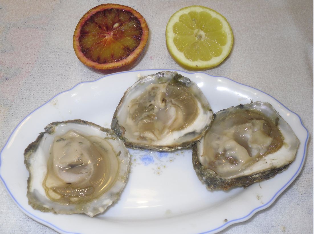 LA COCINA PLURAL: ¡ OSTRAS ! "PEDRÍN" EN ESCABECHE EXTRA SUAVE