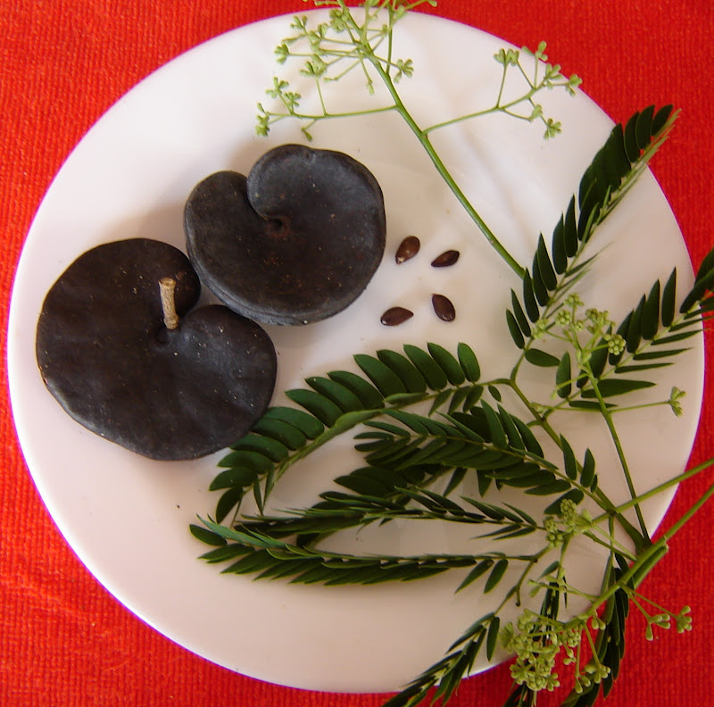 v e r d e c h a c o: Timbó colorado / Oreja de negro