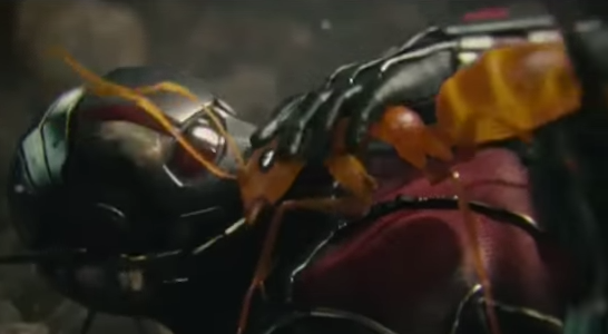 ANT-MAN Clip: Marvel and Discovery Team Up For a Cute Feature on Ants