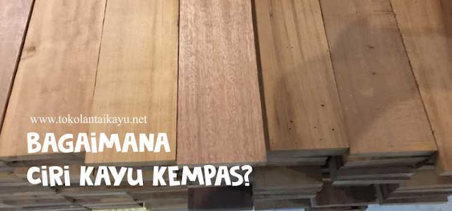 Mengenal Kayu Kempas Yang Mirip Merbau Namun Kalah Pamor - Toko Lantai Kayu