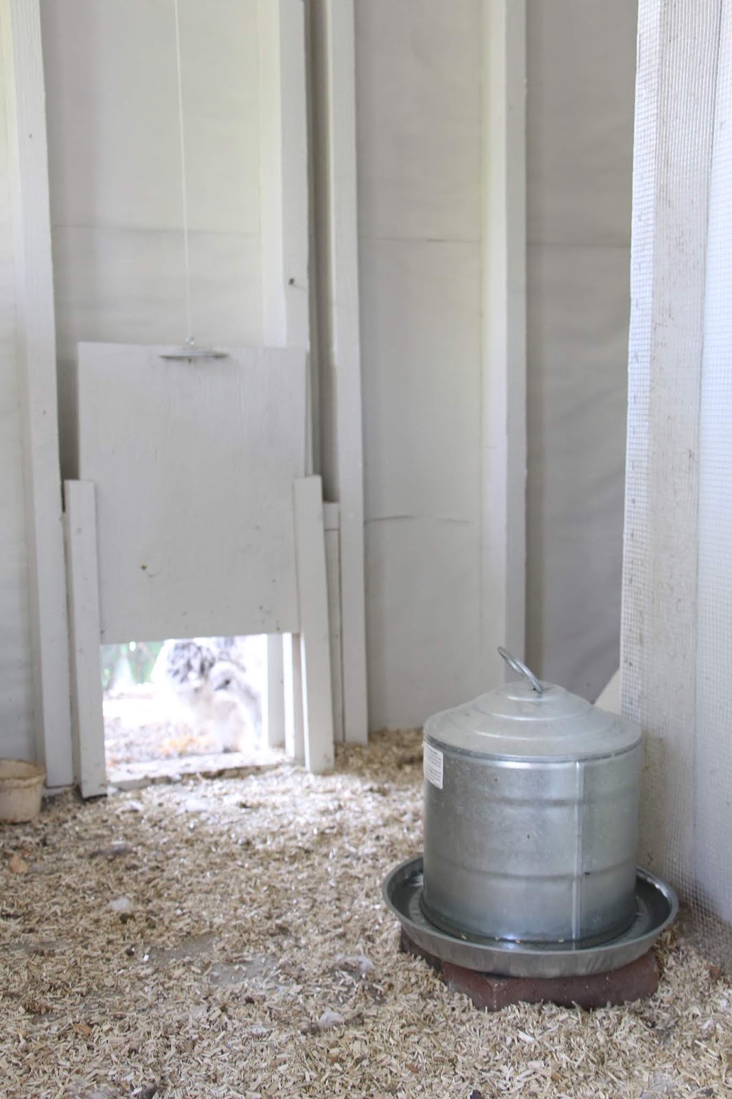 Inside the Chicken Church....