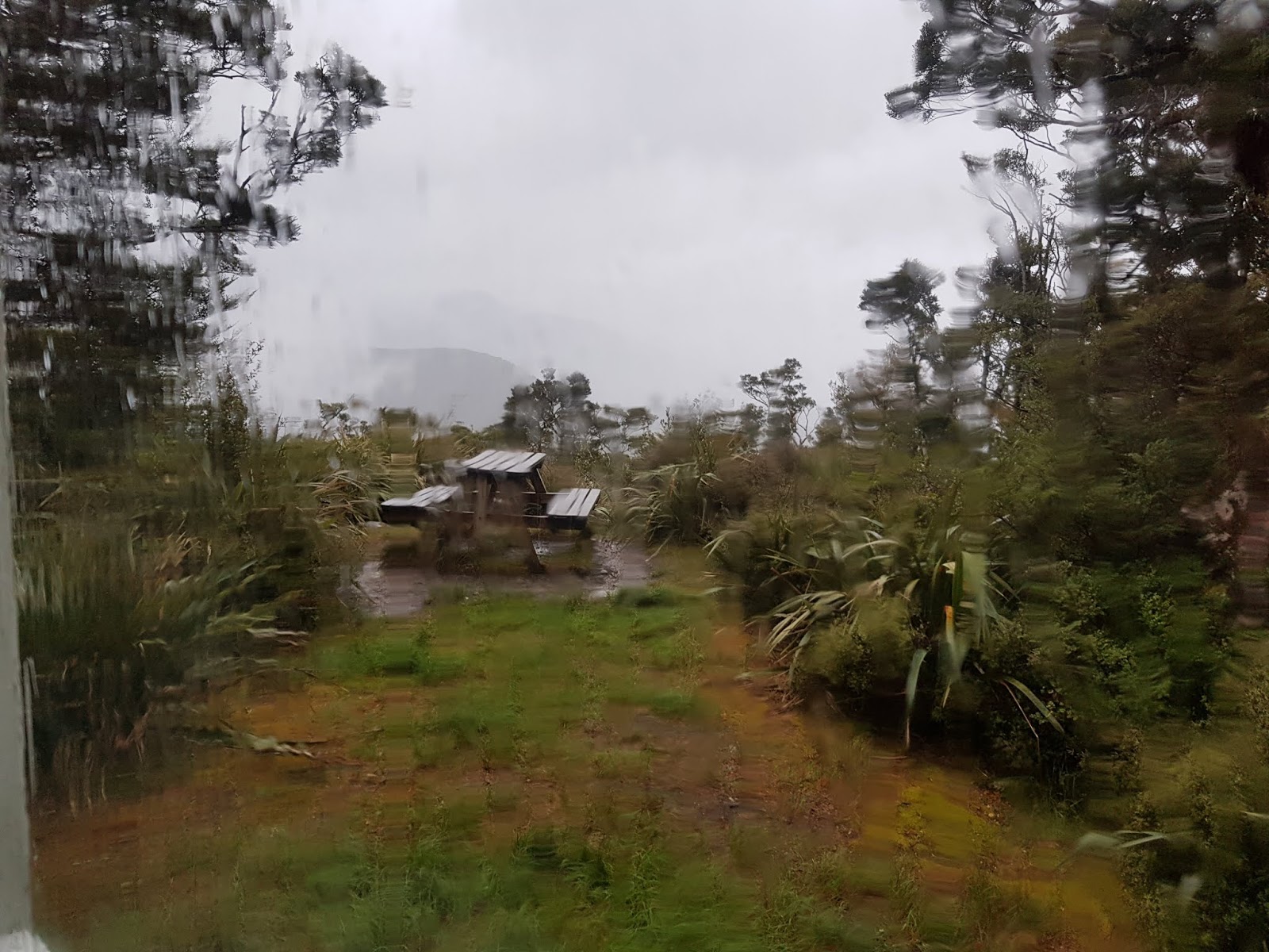 Tramping the Tararuas: Blue Range Hut