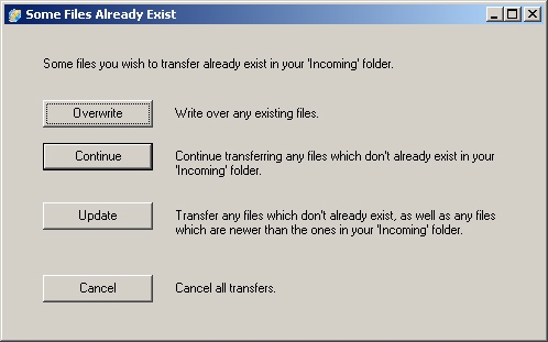 LET'S TALK ABOUT - TYPES OF COMPUTER VIRUSES