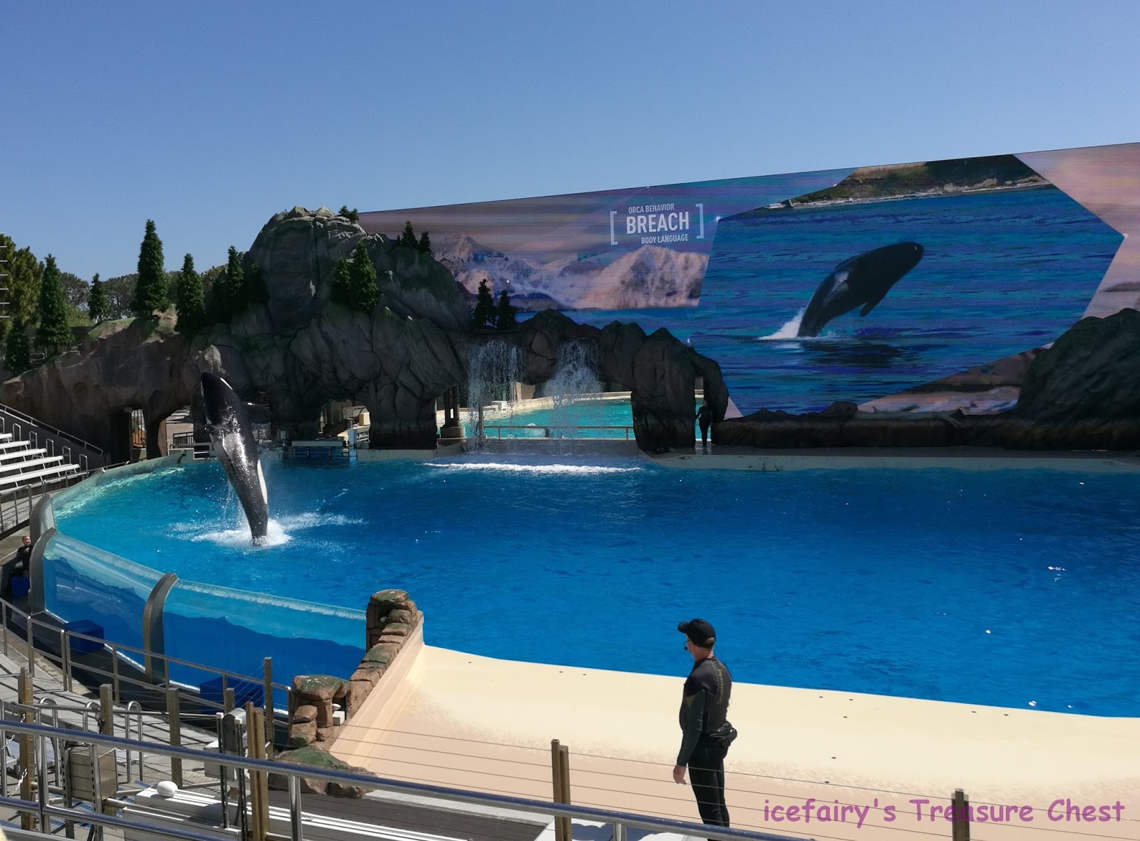 Go Behind the Scenes of New Attractions at SeaWorld & Family Four Pack ...