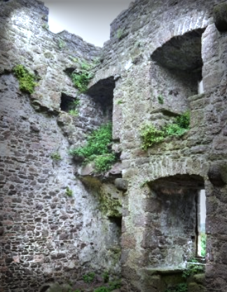 Ireland In Ruins: Ballyhack Castle Co Wexford