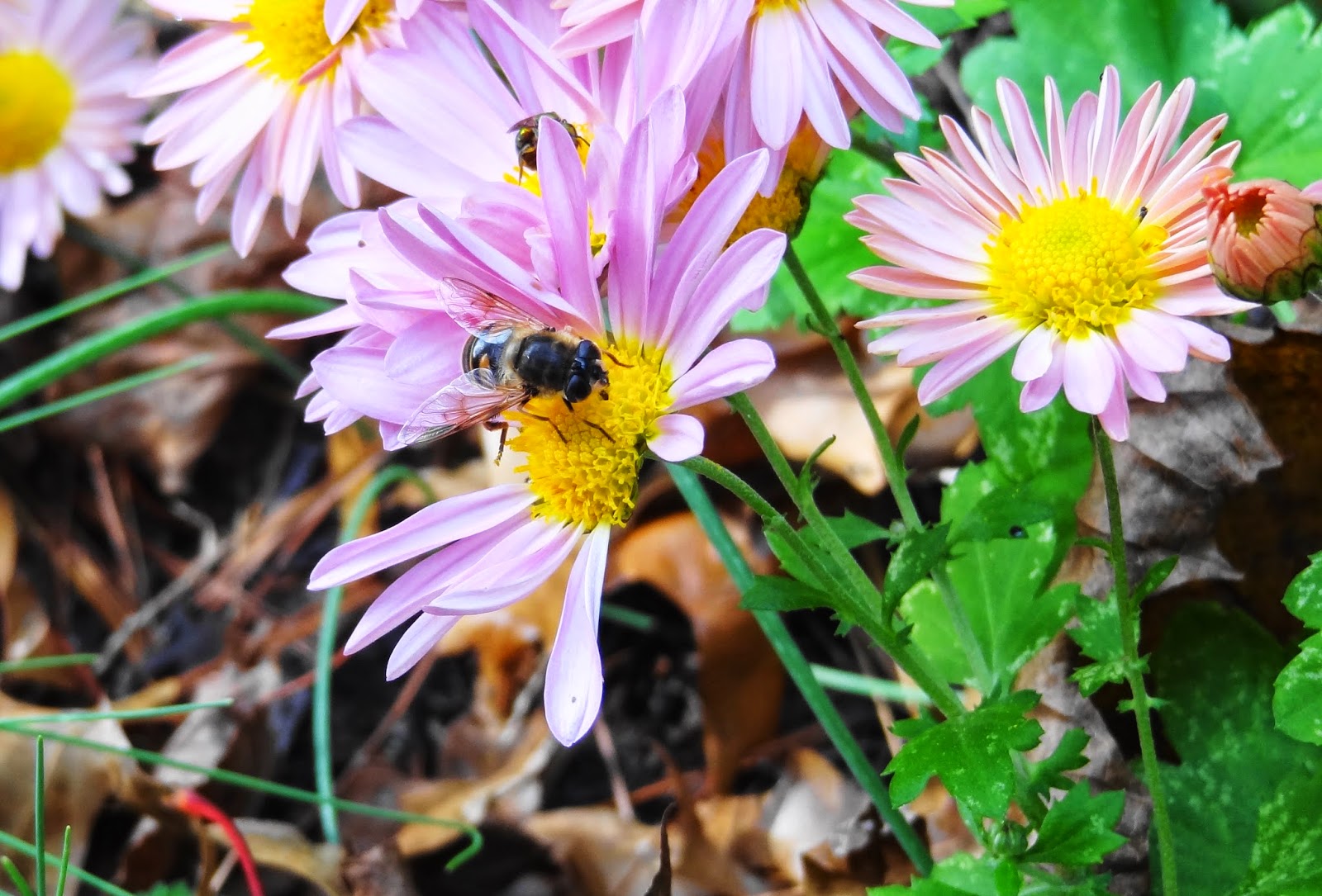 Live and Learn-Toss and Turn: A Second Look--October 29, 2014