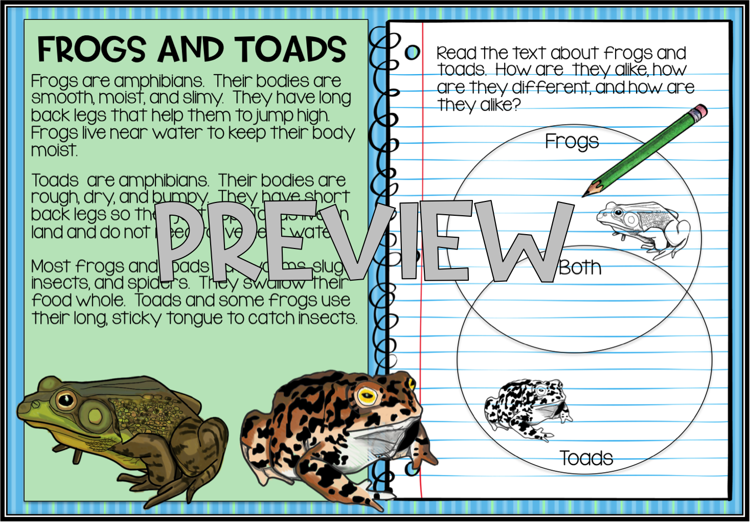 1st Grade Hip Hip Hooray!: Frogs and Toads ... Distance Learning and ...