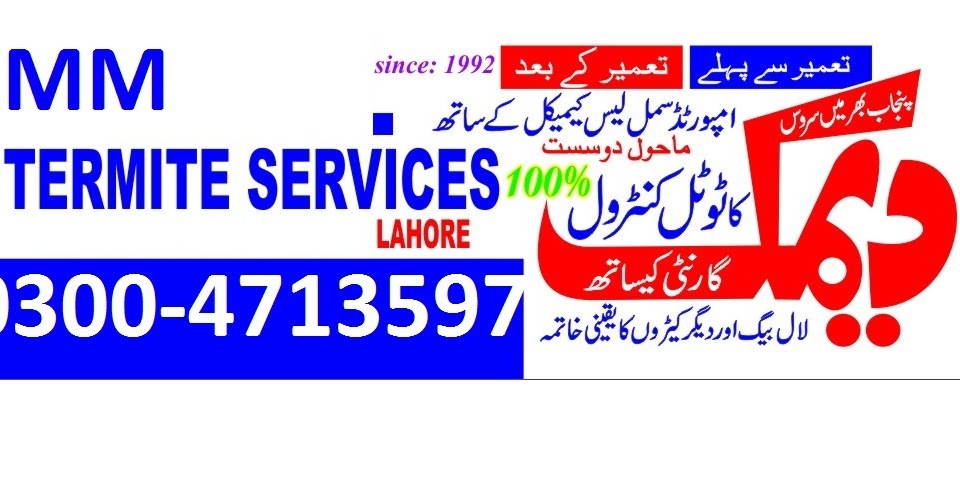 Termite Control Companies In Lahore and Karachi - Deemak Control 0300 ...