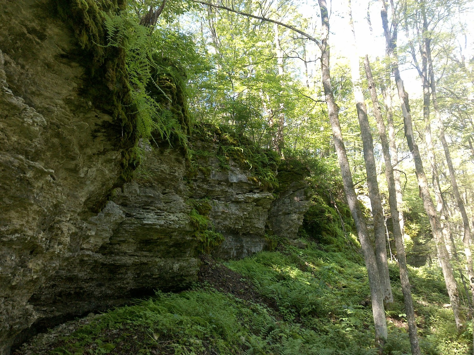Heart and Sole: There be cliffs! Michigan's Niagara Escarpment