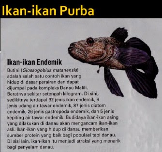 Danau Matano, Terdalam di Asia Tenggara | Basecamp Petualang