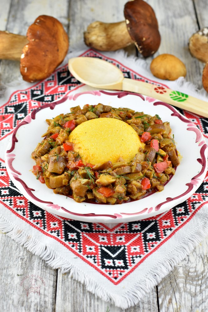 Tocanita de hribi - CAIETUL CU RETETE