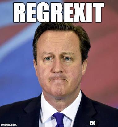 A PLACE CALLED HAPPY PILLS : Brexit Memes - The Best Brexit Memes