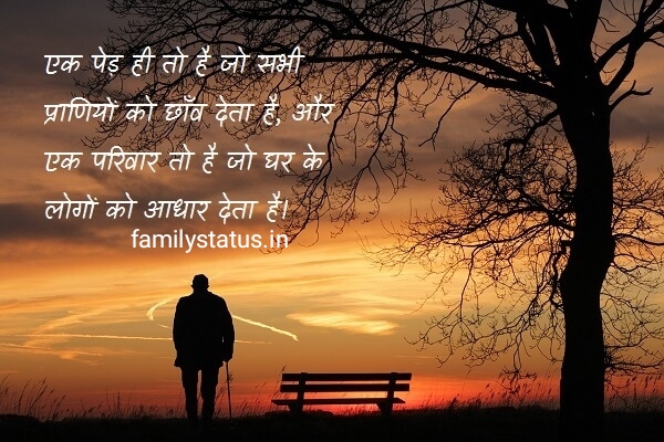 family status || Shayari || Joks || Quotes