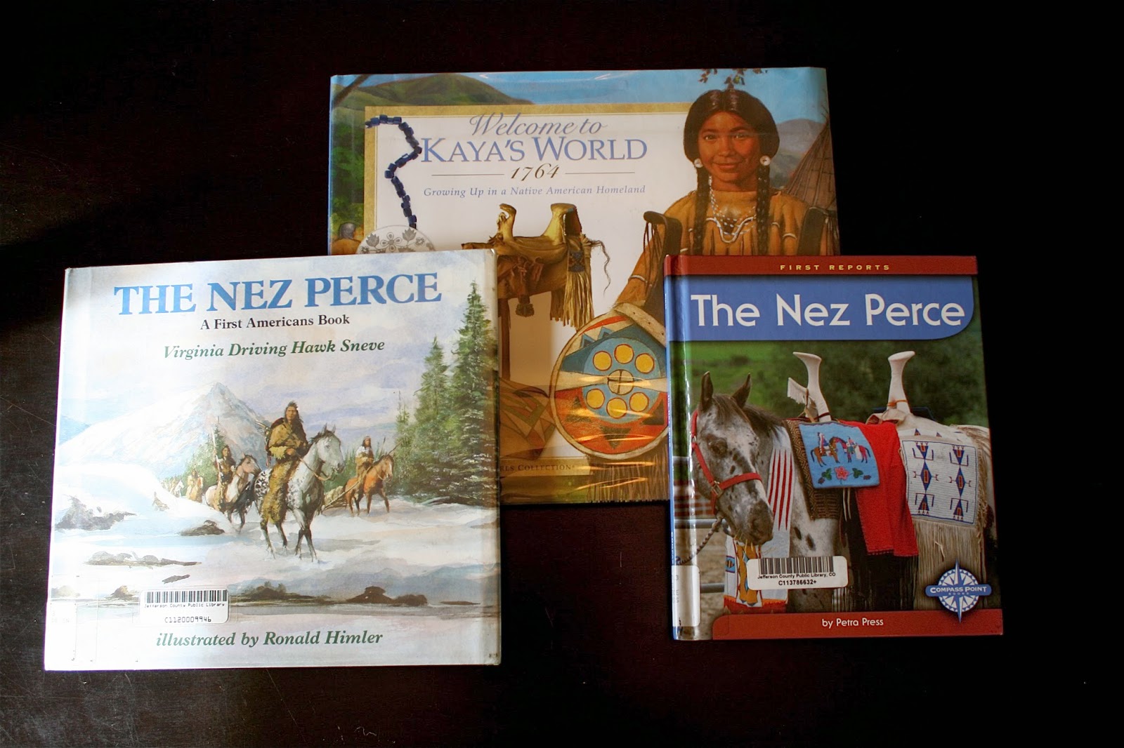 American Girl Unit Studies: Kaya ~ Catholic Missionary Family