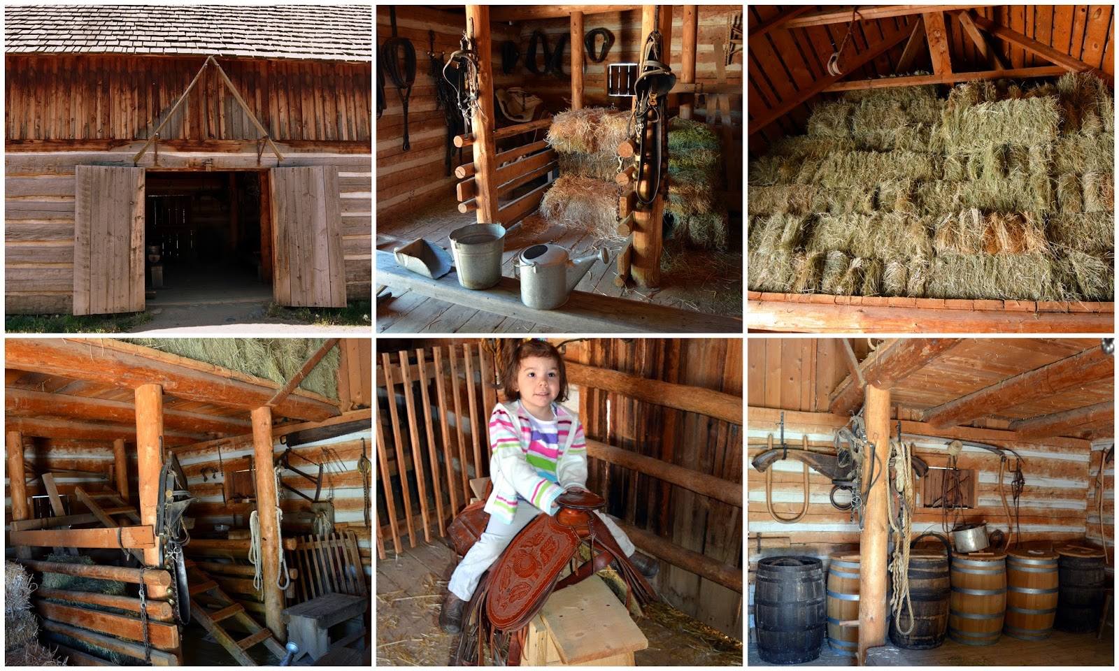 Mille Fiori Favoriti: Littleton Museum--a Trip Back in Time