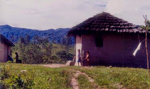 Grupo Étnico "Los Pech"