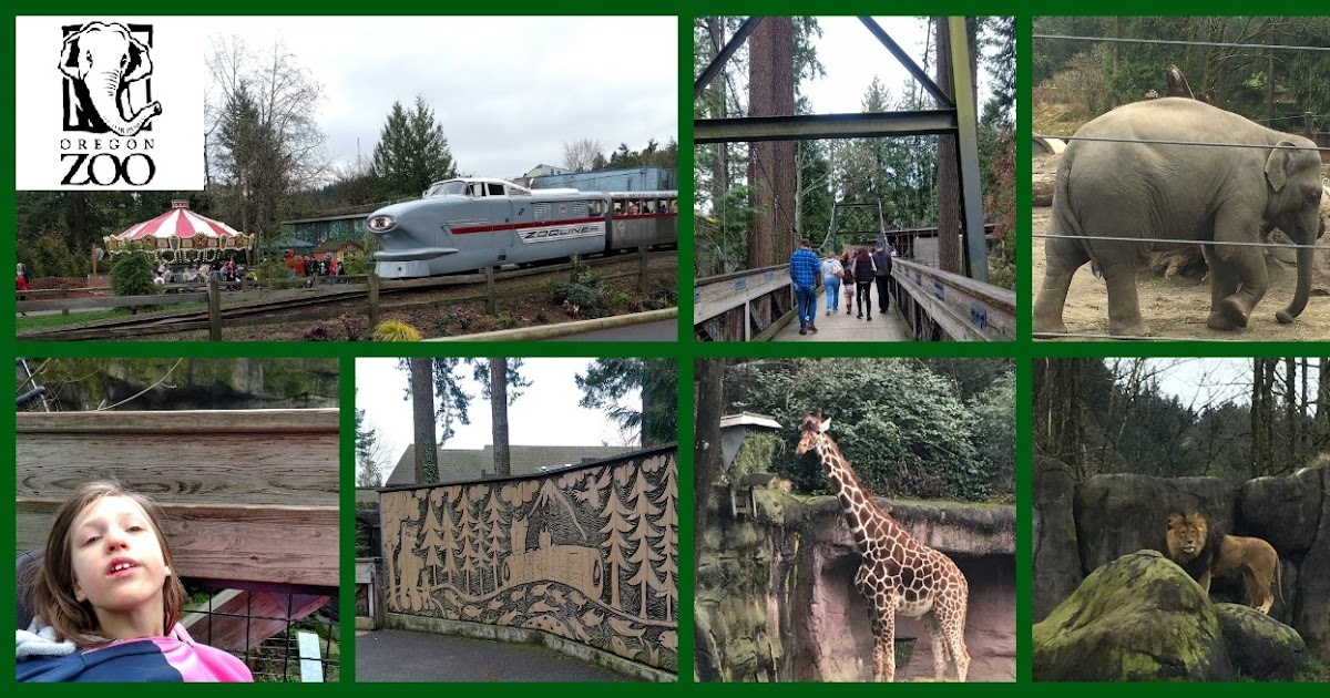 Postcards from Jilly: Oregon Zoo - Portland, Oregon