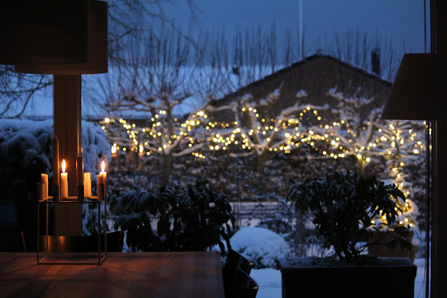 havedagbogen : Så blev det januar - og der kom julestemning