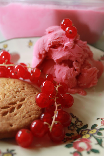 Souped-up Garden: Red Currant Ice Cream