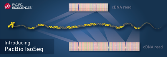 パックマンの挑戦 － PacBioシークエンサー: Better NGS Solutions Labcab (2) PacBio RSIIに ...
