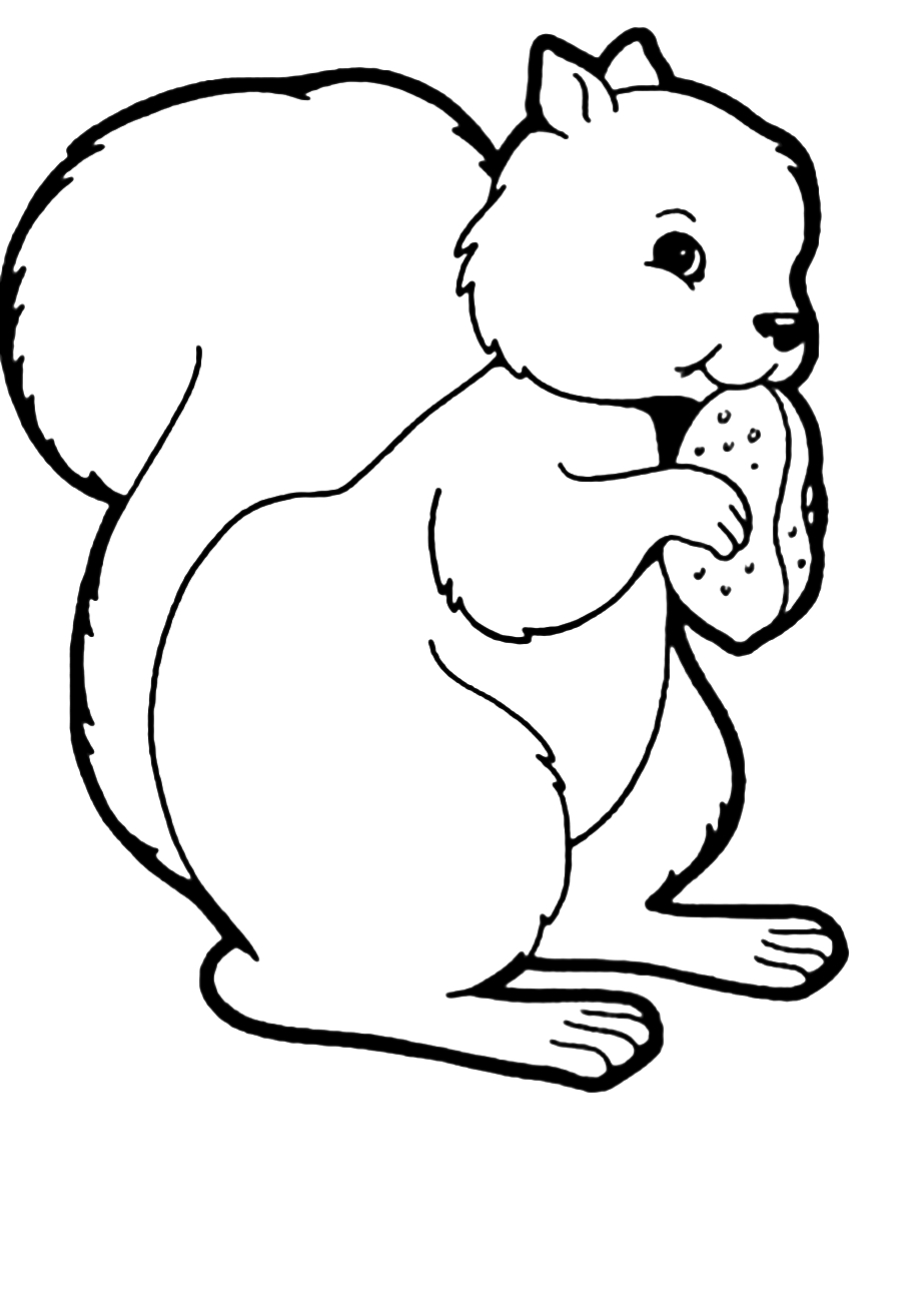 Riscos graciosos (Cute Drawings): Esquilos (Squirrels)