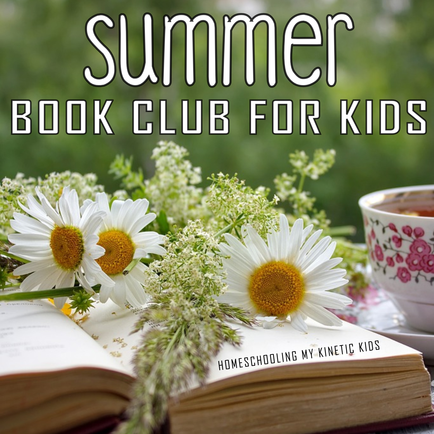 Summer Book Club Ideas For Kids summer-book-club-ideas-for-kids