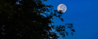 Moonring or Haloring: when and why?