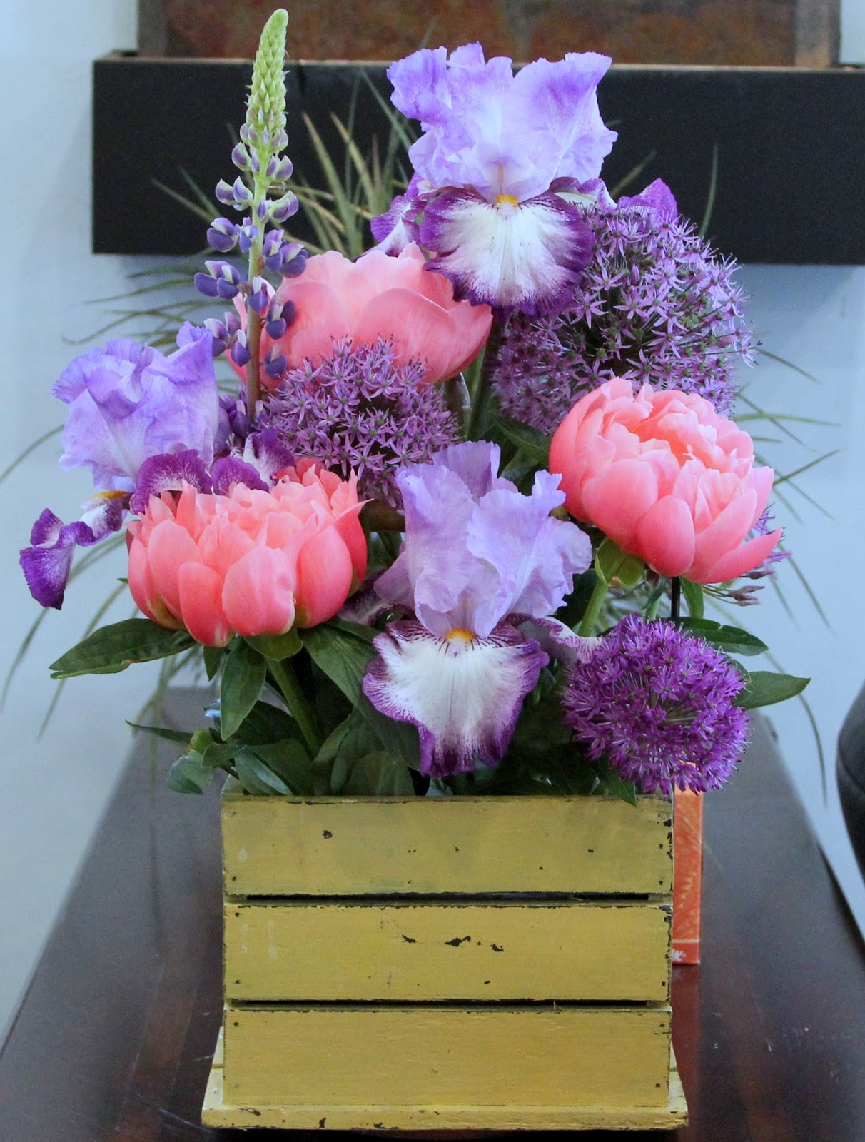 World of Irises: "Talking Irises" DISPLAYING IRISES Using a variety of ...