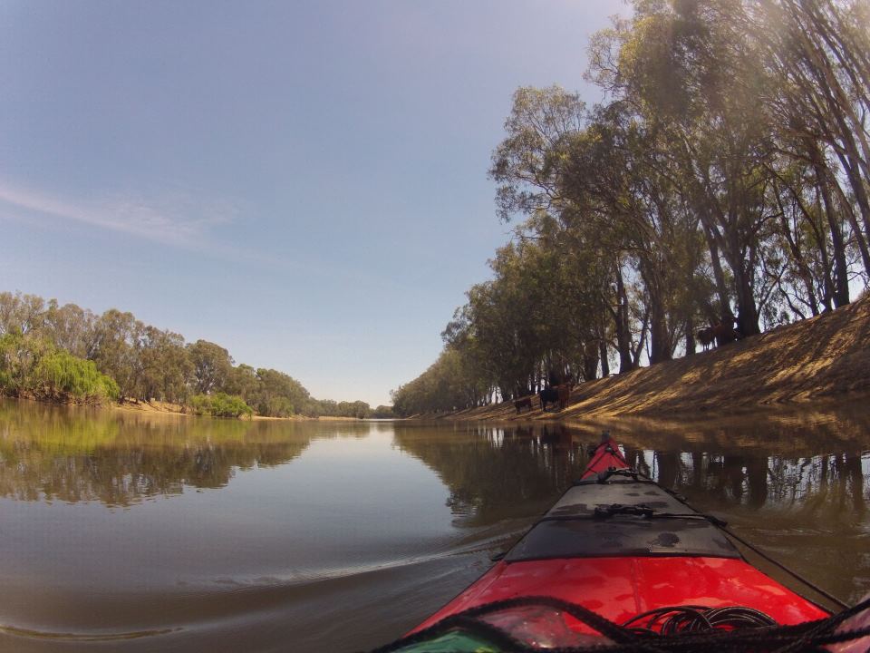 Murray River Kayak.: Murray Genesis, Geography, Geology.