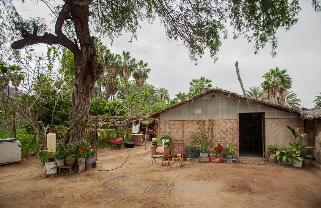 San José y San Miguel de Comondú ~ Tendencia el Arte de Viajar