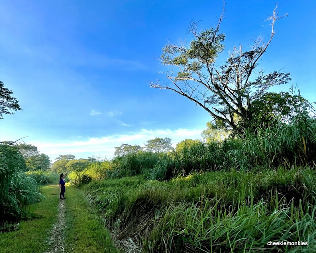 Cheekiemonkies: Singapore Parenting & Lifestyle Blog: [Easy & Gorgeous ...