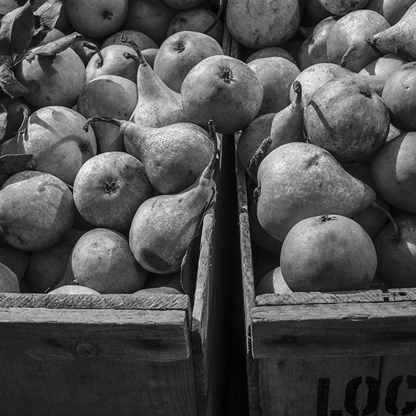 About Photography: Acros film simulation with the Fuji X-Pro2