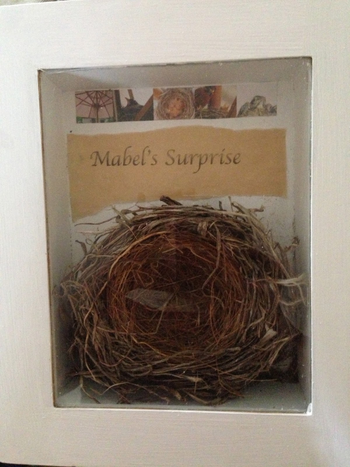 The Nature Playground: Bringing Nature Indoors