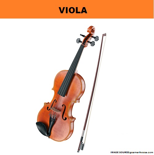 My Homeworks: STRING INSTRUMENT-VIOLA