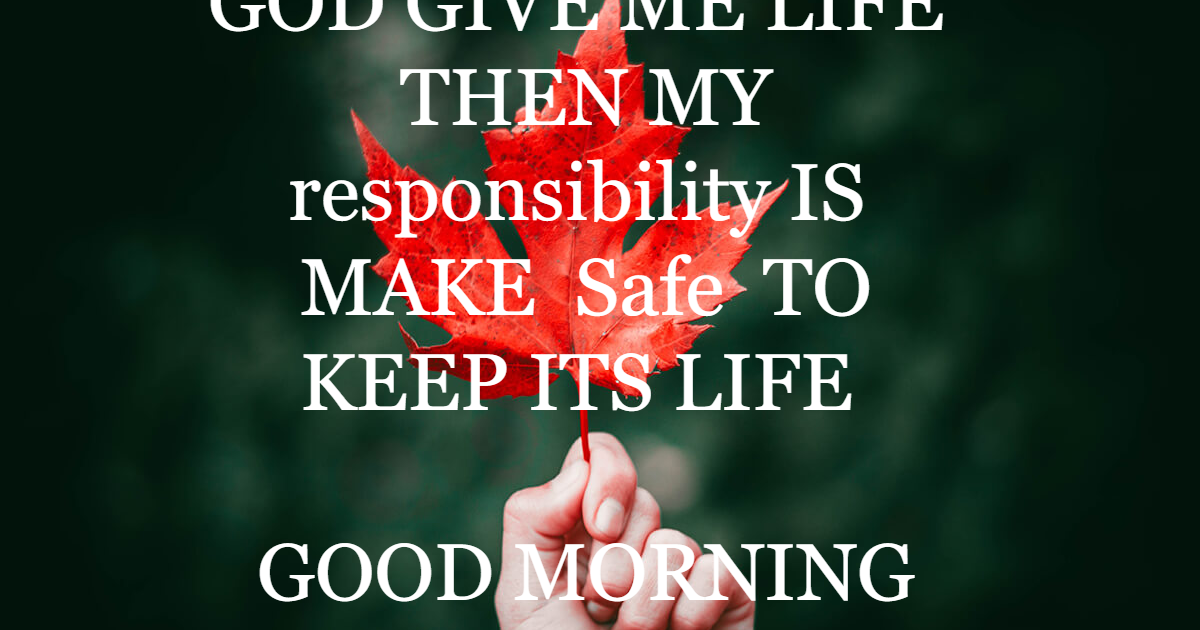 Sweet Sms for a everyone : status