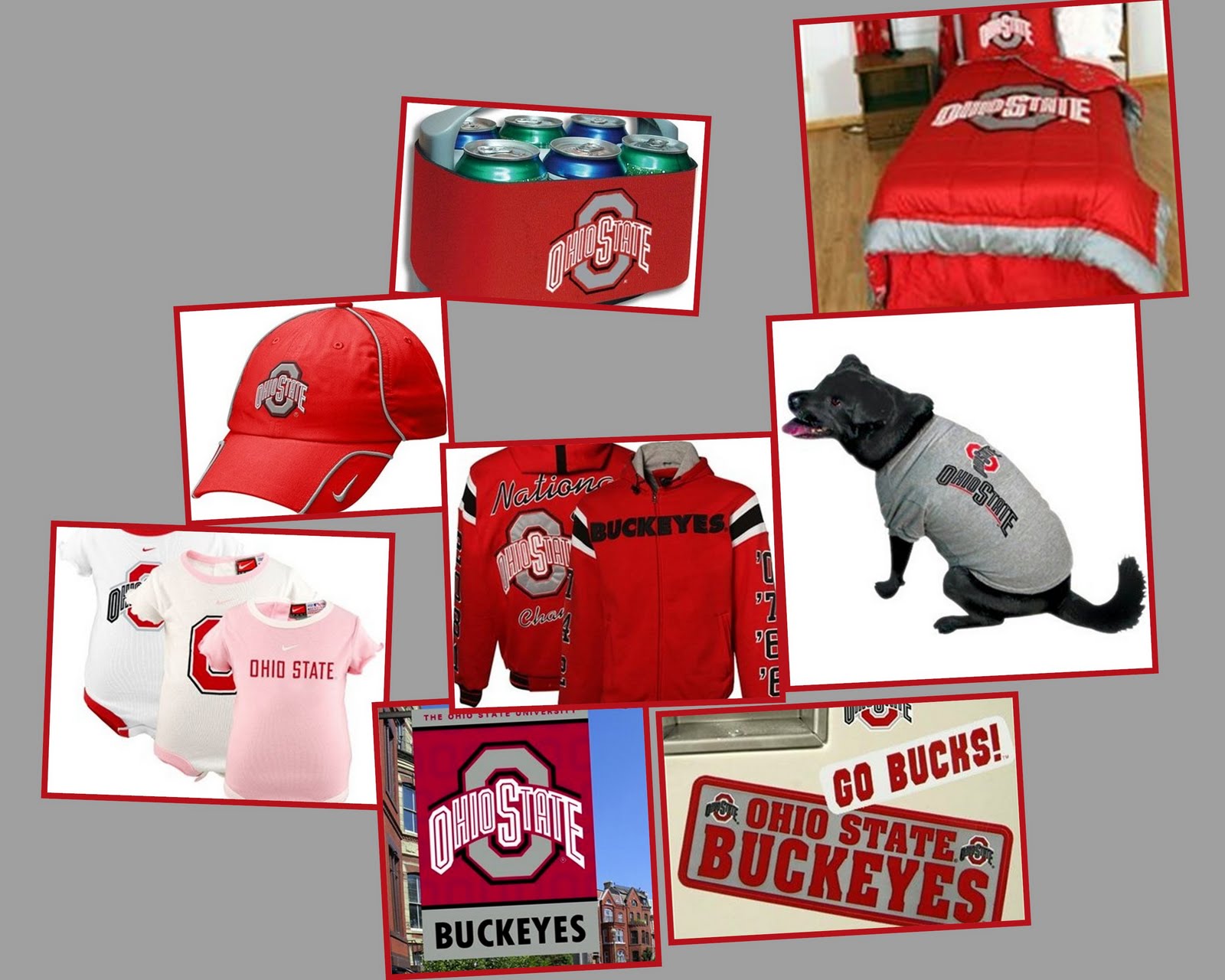 Recollections of a Vagabonde: A visit to Ohio State University and the ...