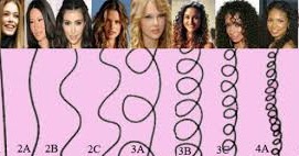 MUNDO JUKILÂNDIA: TIPOS DE CEBELOS