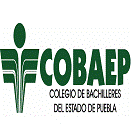 cobaep 1 F