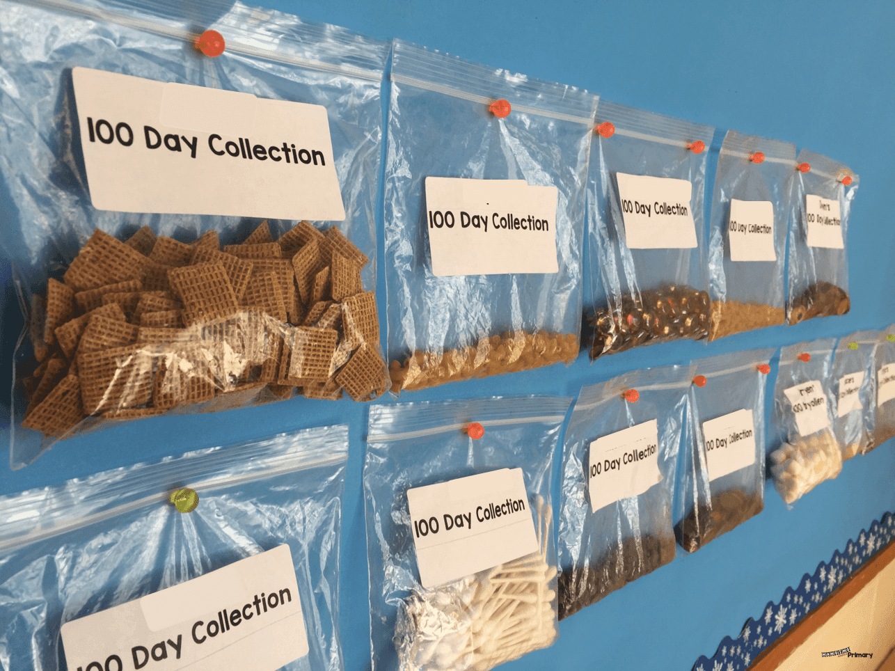 Celebrating the 100th Day of School! | Hanging Around In Primary