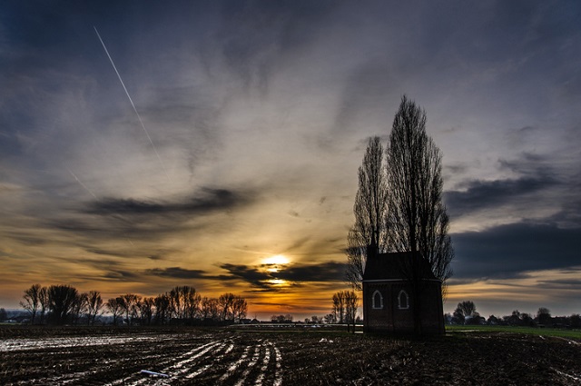 A Bleak Future for Humanity? | Sri Lanka Guardian