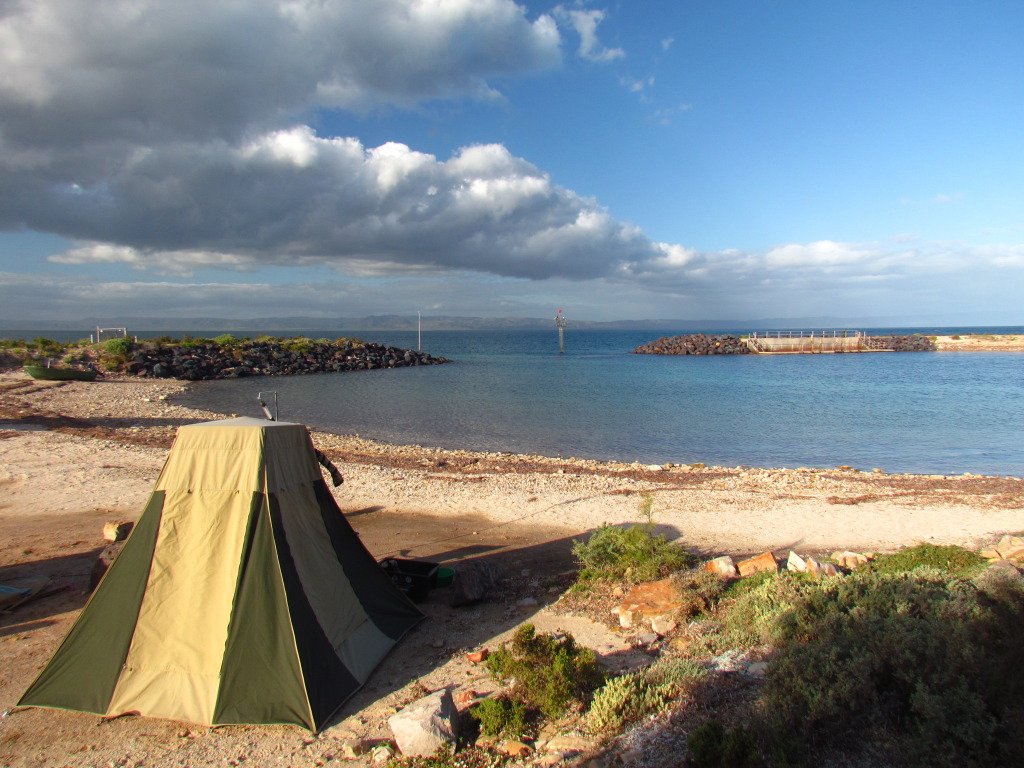 38 Excited Dog Friendly Camping South Australia Picture 8K Au bleumoonproductions 38-excited-dog-friendly-camping-south-australia-picture-8k-au-bleumoonproductions